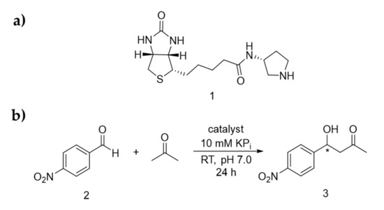 Streptavidin-Hosted Organocatalytic Aldol Addition