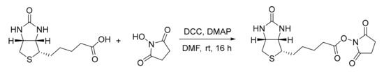 Streptavidin-Hosted Organocatalytic Aldol Addition