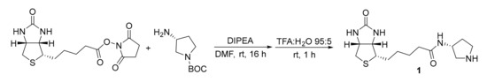 Streptavidin-Hosted Organocatalytic Aldol Addition