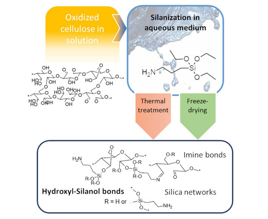 Molecules | Free Full-Text | A Direct Silanization Protocol for ...