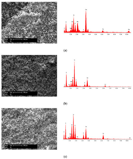 Using Sewage Sludge Ash as an Efficient Adsorbent for Pb (II) and Cu ...