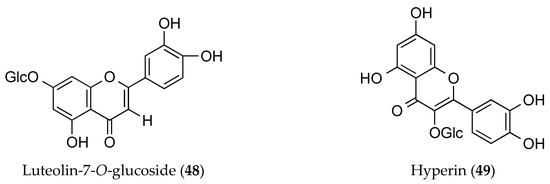 Genus Ophiorrhiza: A Review of Its Distribution, Traditional Uses ...