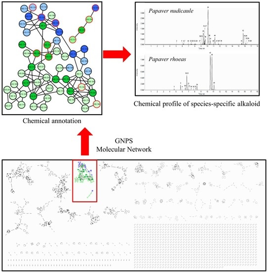 Molecules | Free Full-Text | Molecular Network-Guided Alkaloid ...