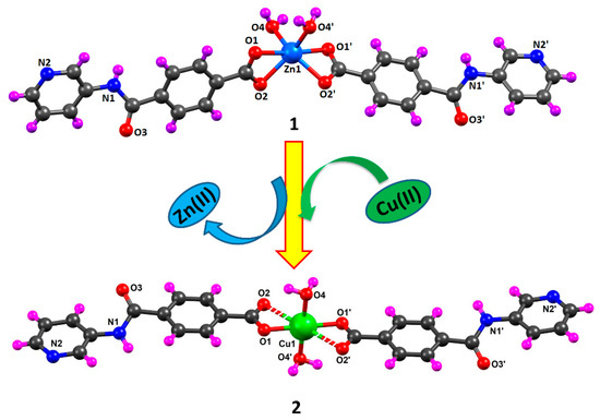 Molecules | Free Full-Text | Zn(II)-to-Cu(II) Transmetalation in an ...