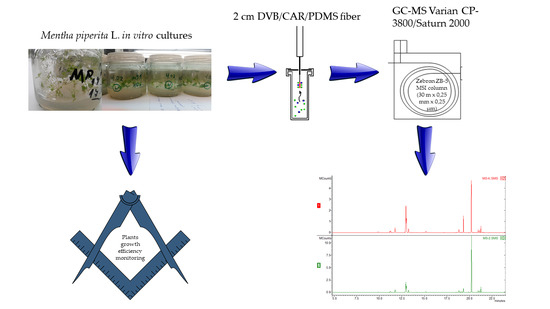 Molecules | Special Issue : Plant Volatile Organic Compounds