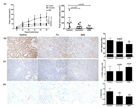 Dehydrozingerone, a Curcumin Analog, as a Potential Anti-Prostate ...