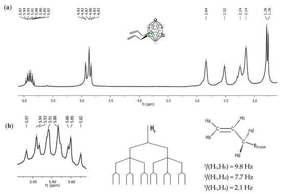 m-Carborane as a Novel Core for Periphery-Decorated Macromolecules