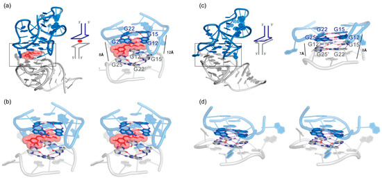 Structural Insights into RNA Dimerization: Motifs, Interfaces and Functions