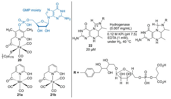 Artificial Metalloenzymes: From Selective Chemical Transformations to ...
