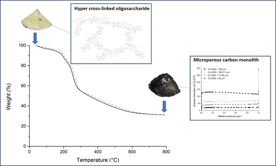Molecules | Free Full-Text | Preparation of Microspheres and Monolithic Microporous Carbons from ...