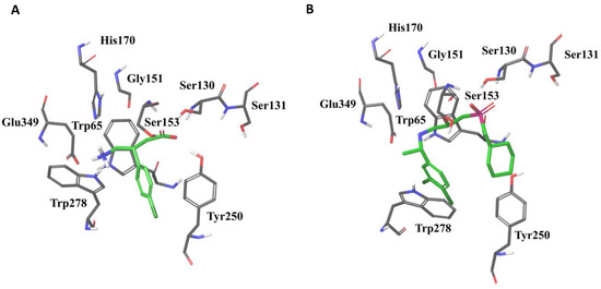 The GABAB Receptor—Structure, Ligand Binding and Drug Development
