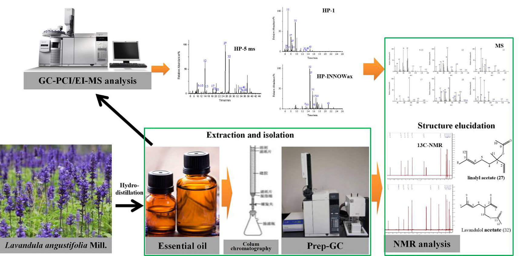 Molecules | Free Full-Text | Study on Lavender Essential Oil Chemical ...