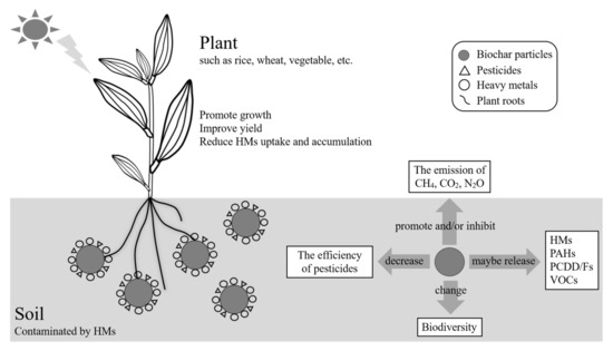 Application Research of Biochar for the Remediation of Soil Heavy ...