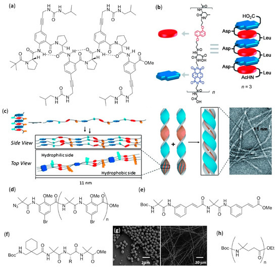 The Diverse World of Foldamers: Endless Possibilities of Self-Assembly