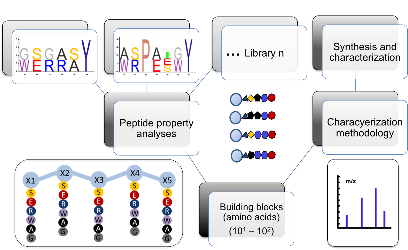 Molecules | Free Full-Text | Bottom-Up Design Approach for OBOC Peptide Libraries