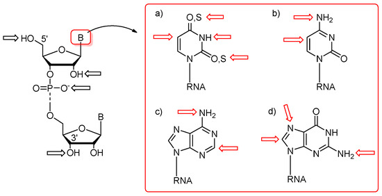 Synthesis of Nucleobase-Modified RNA Oligonucleotides by Post-Synthetic ...