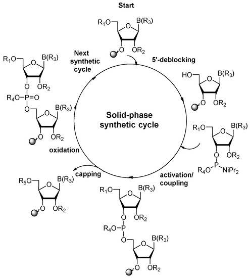 Synthesis of Nucleobase-Modified RNA Oligonucleotides by Post-Synthetic ...