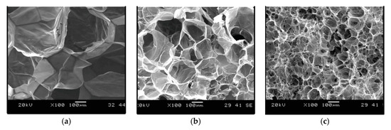 Foaming of PLA Composites by Supercritical Fluid-Assisted Processes: A ...