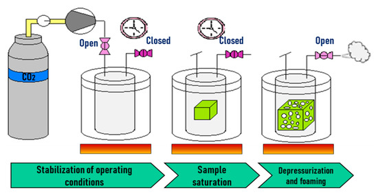 Foaming of PLA Composites by Supercritical Fluid-Assisted Processes: A ...