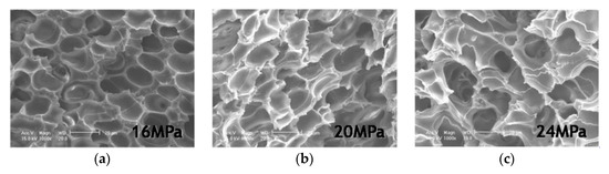 Foaming of PLA Composites by Supercritical Fluid-Assisted Processes: A ...