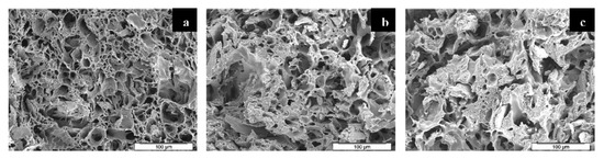 Foaming of PLA Composites by Supercritical Fluid-Assisted Processes: A ...
