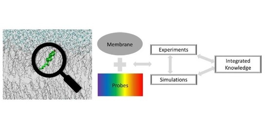 Molecules | Special Issue : Membrane Structure and Function