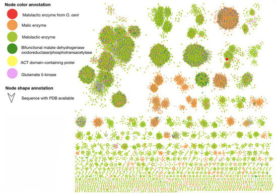 l-Malate (−2) Protonation State is Required for Efficient ...