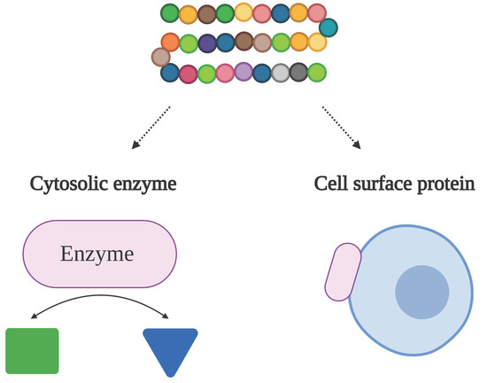 Moonlighting Proteins in the Fuzzy Logic of Cellular Metabolism