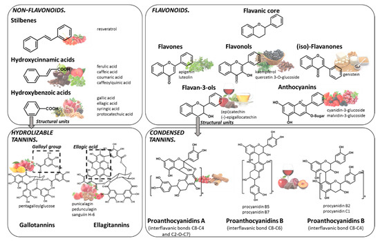 Molecules Free Full Text Bioactive Peptides And Dietary Polyphenols