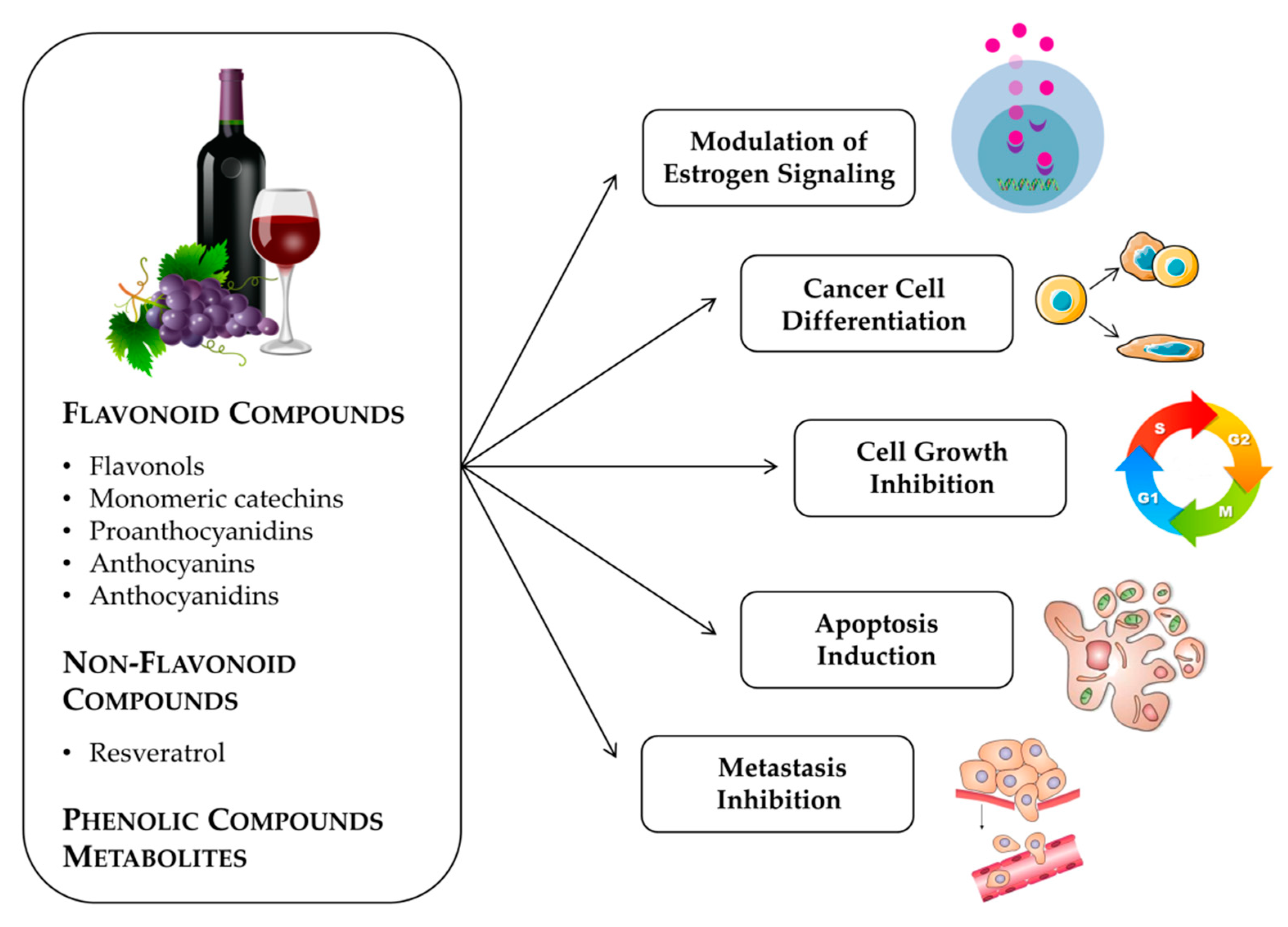 Molecules Free Full Text Bioactive Compounds And Metabolites From