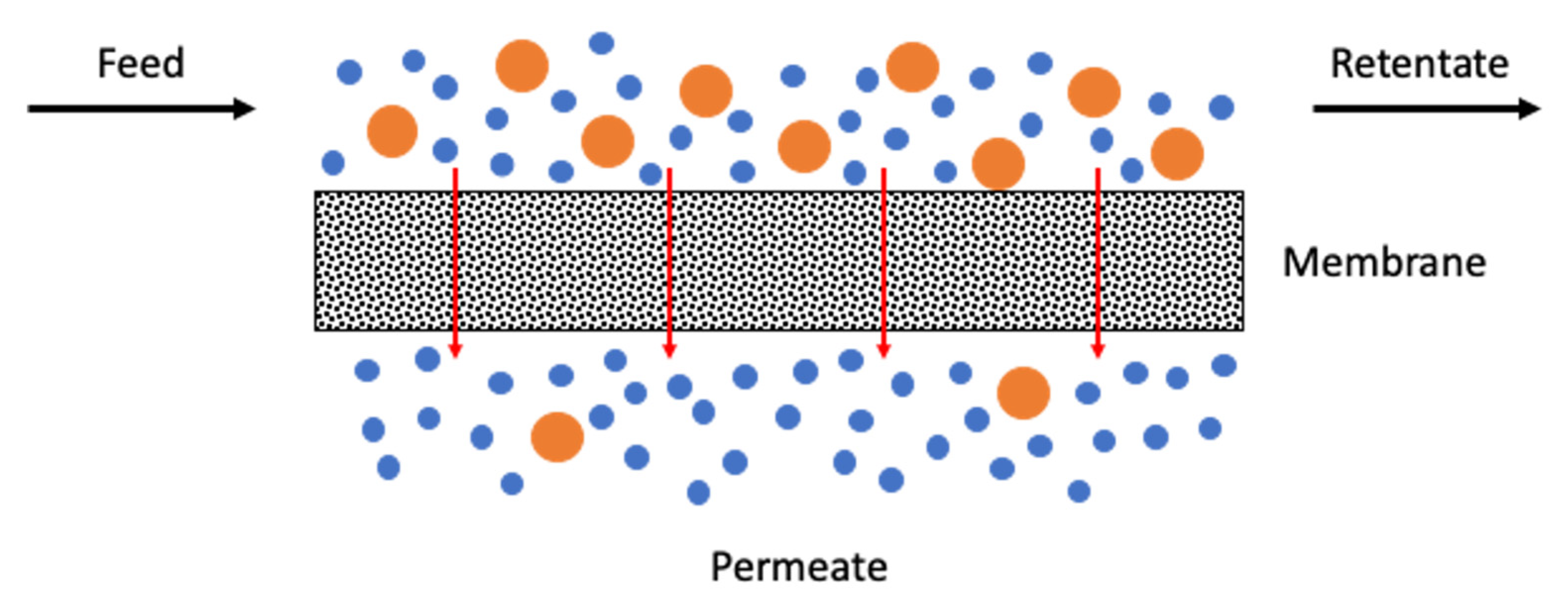 Cellulose-Based Carbon Molecular Sieve Membranes for Gas Separation: A Review