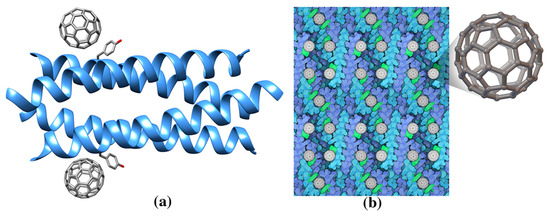 Atomic Details of Carbon-Based Nanomolecules Interacting with Proteins