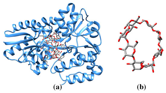 Atomic Details of Carbon-Based Nanomolecules Interacting with Proteins
