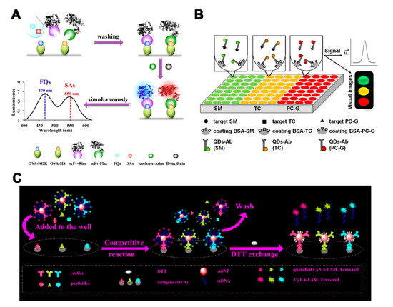 Rapid Multi-Residue Detection Methods for Pesticides and Veterinary Drugs