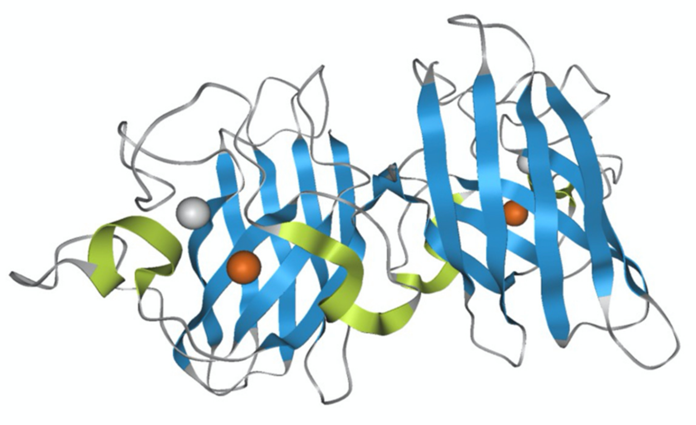 Pro-Oxidant Activity of an ALS-Linked SOD1 Mutant in Zn-Deficient Form