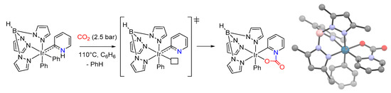 Recent Advances in the Chemistry of Metal Carbamates