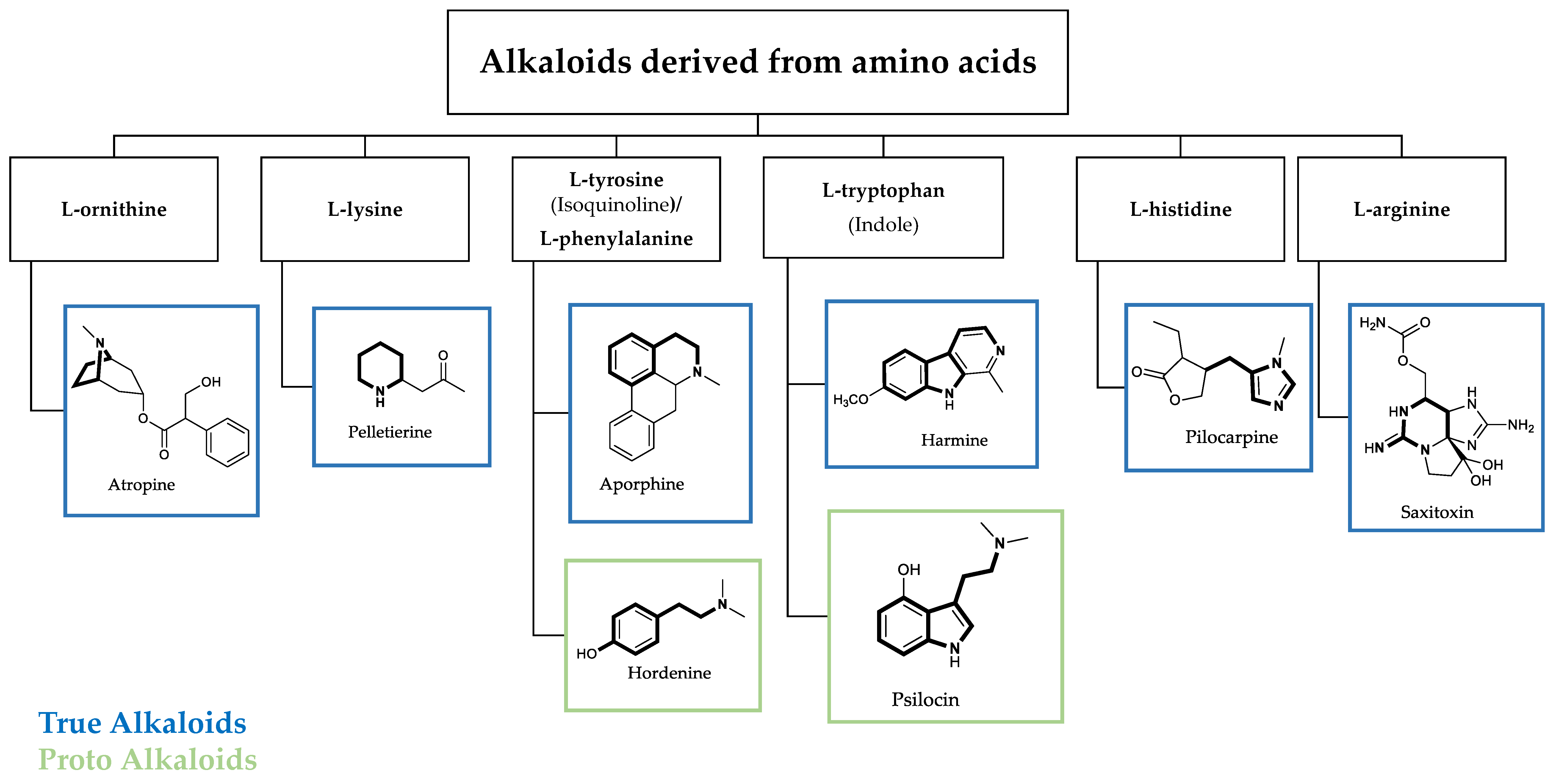 Naturally-Occurring Alkaloids of Plant Origin as Potential ...