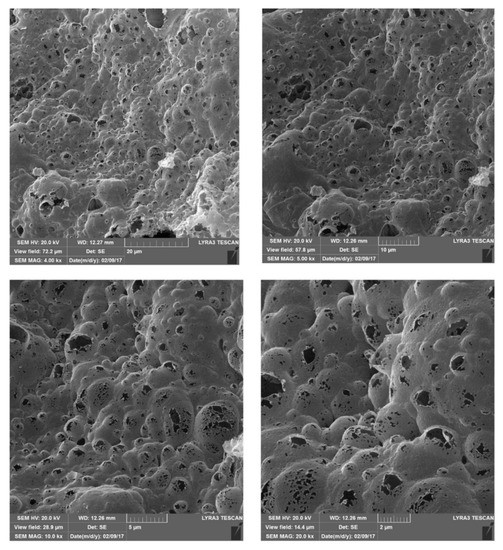 Sponges and Sponge-Like Materials in Sample Preparation: A Journey from ...