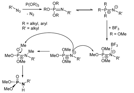 Opening up the Toolbox: Synthesis and Mechanisms of Phosphoramidates