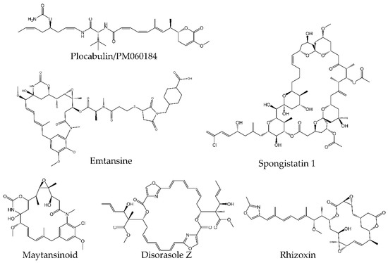 Intrinsic and Extrinsic Factors Affecting Microtubule Dynamics in ...