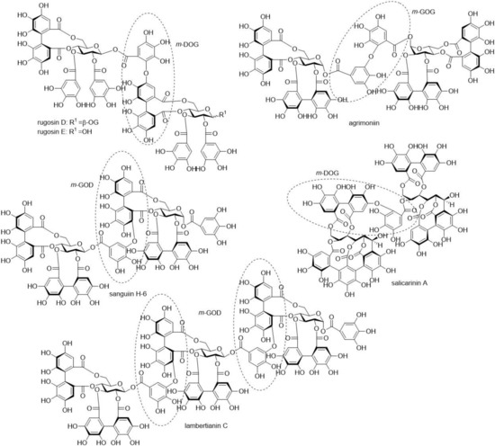 Antimicrobial Activities of Ellagitannins against Clostridiales ...