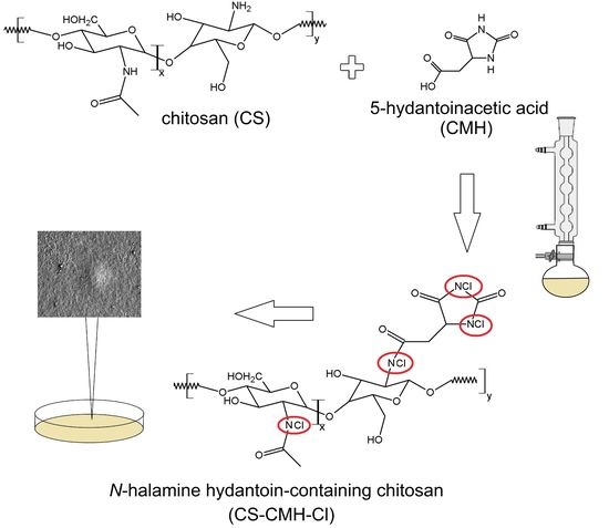 Molecules | Free Full-Text | N-Halamine Hydantoin-Containing Chitosan ...