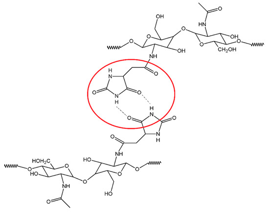 N-Halamine Hydantoin-Containing Chitosan: Synthesis, Characterization ...