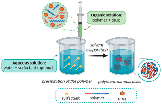 Polymeric Nanoparticles: Production, Characterization, Toxicology and Ecotoxicology