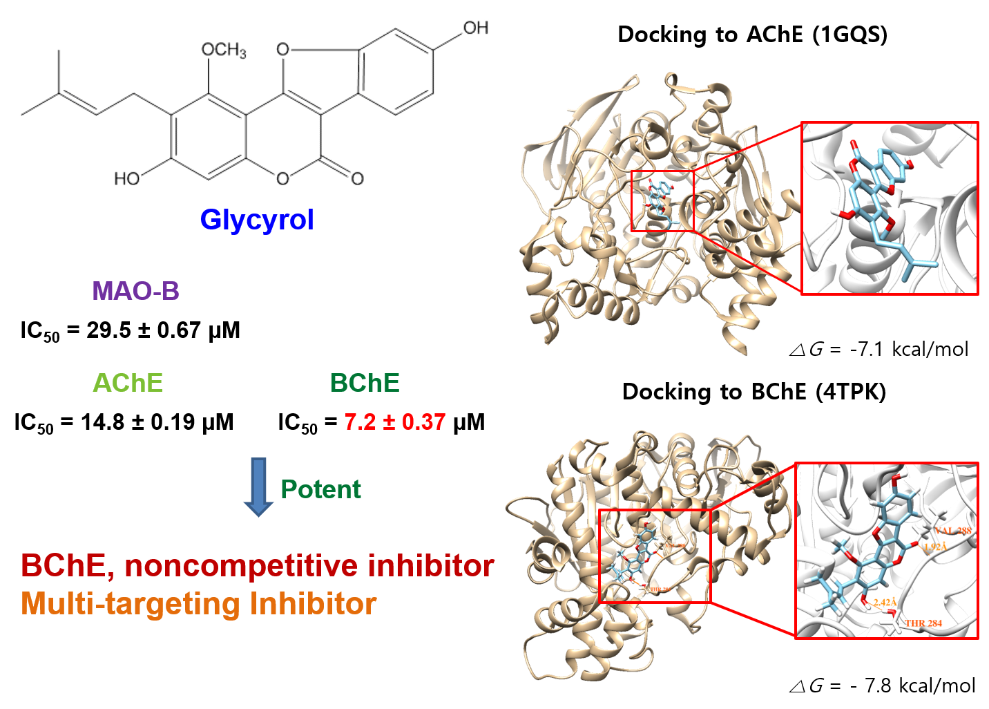 Molecules | Free Full-Text | Inhibition of Butyrylcholinesterase and ...