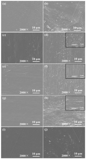 Biodegradation Behavior of Poly(Butylene Adipate-Co-Terephthalate) (PBAT), Poly(Lactic Acid ...