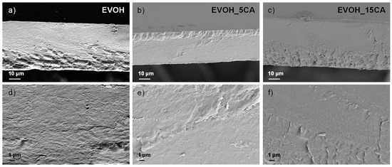 Antioxidant Packaging Films Based on Ethylene Vinyl Alcohol Copolymer ...