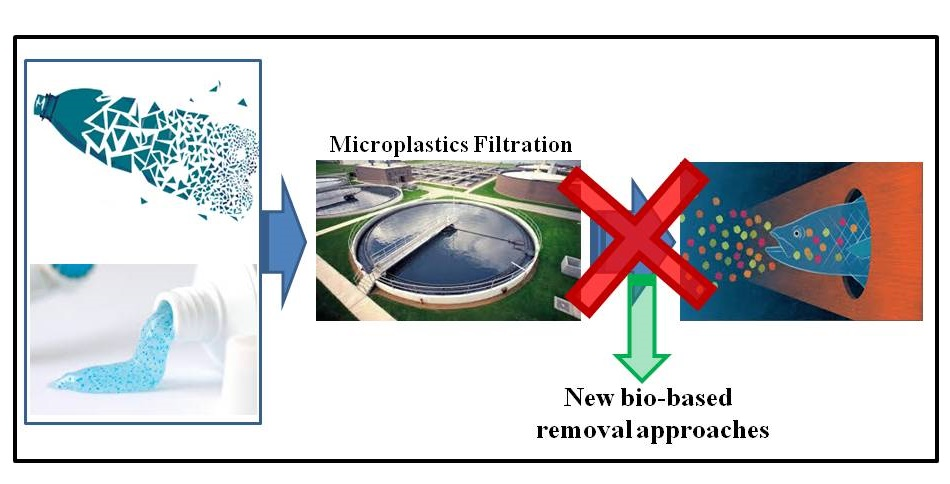 Molecules | Free Full-Text | Microplastics in Ecosystems: From Current ...