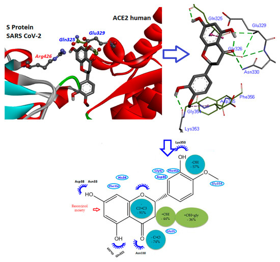 Natural Flavonoids as Potential Angiotensin-Converting Enzyme 2 ...
