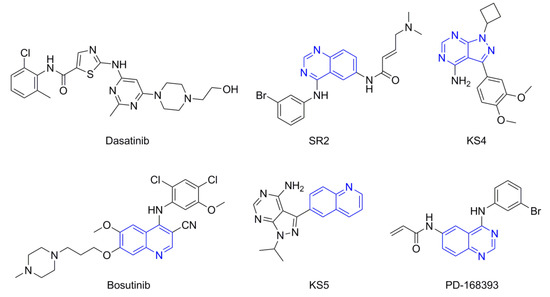 Identification of Novel Src Inhibitors: Pharmacophore-Based Virtual ...